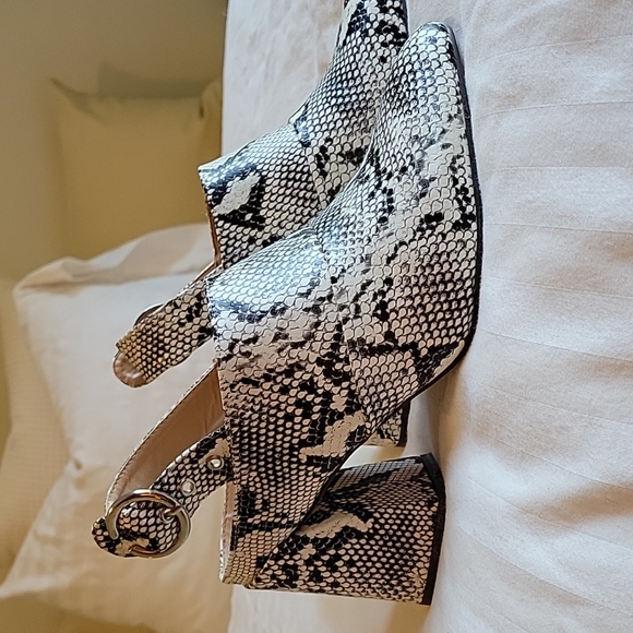Chase + Chloe | Shoes | Snake Print Heels Pointed Toe Wide Heel | Poshmark